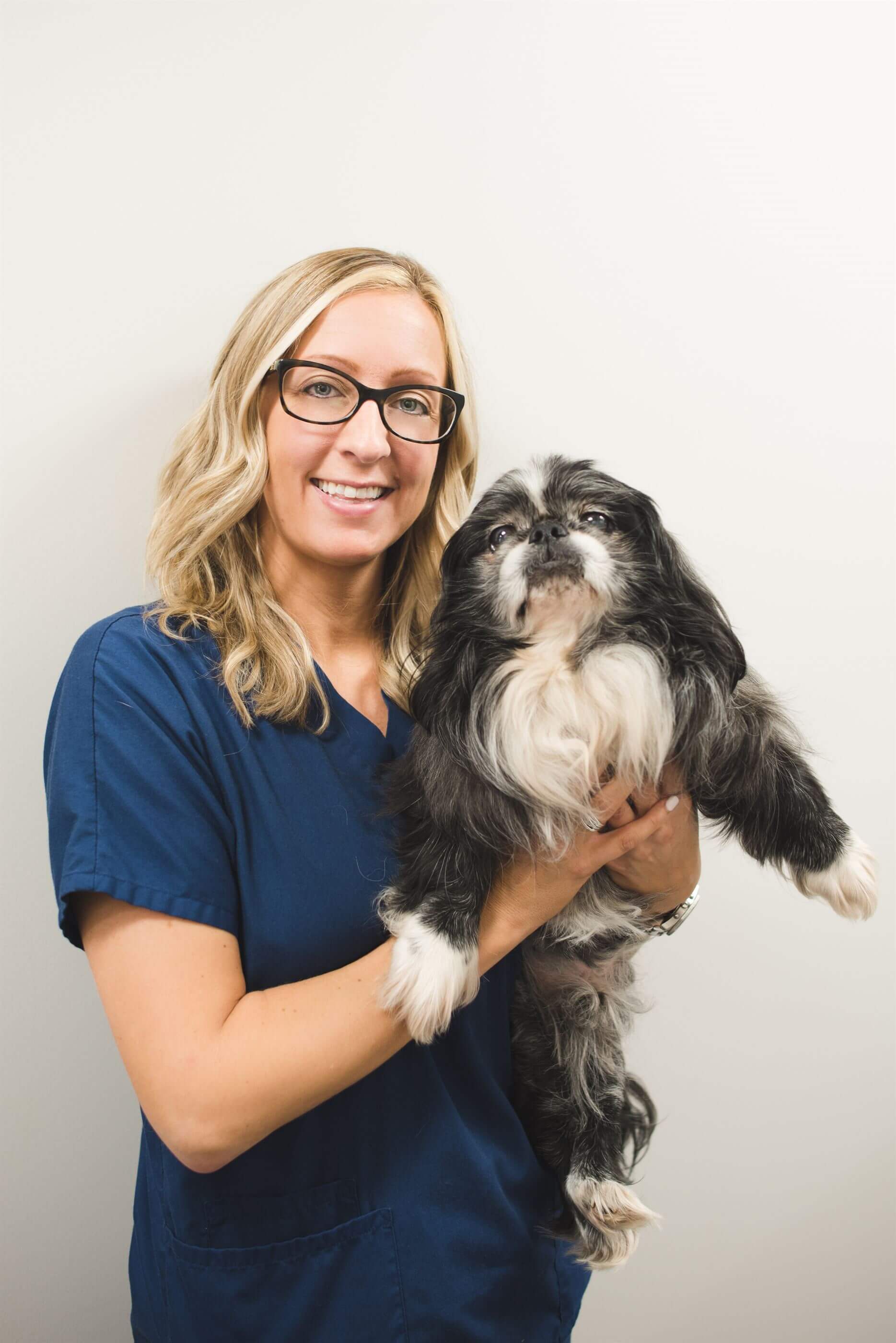 Dogs | Plymouth Veterinary Hospital