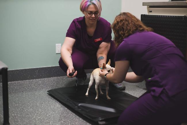 Facilities | Plymouth Veterinary Hospital