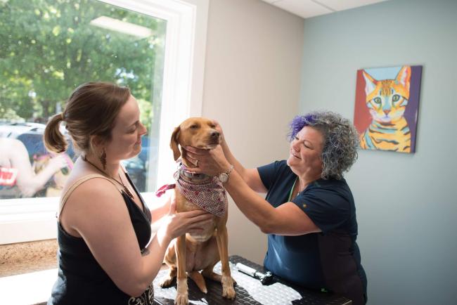 Facilities | Plymouth Veterinary Hospital